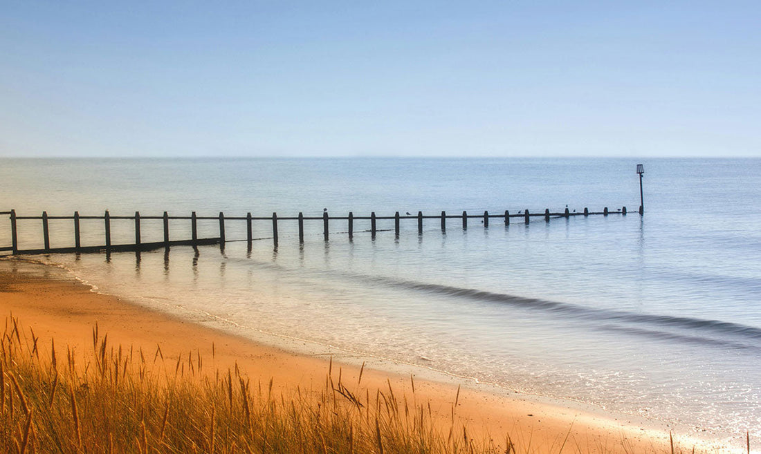 Coastal Elegance from Miami to Palm Beach: The Ultimate Guide to Throw ...